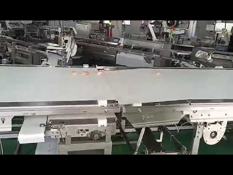 Boost Packaging Efficiency with Our Innovative Reversible Belt System ...