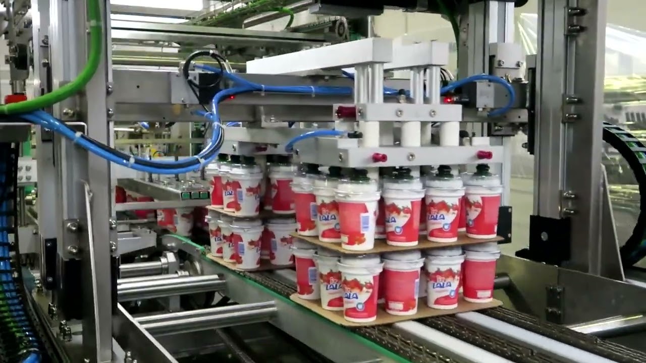 Efficient Automation for Streamlined Packaging: Prasmatic MSW 450 CF ...